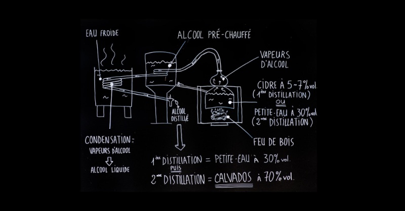 How is Calvados made : an artisanal know-how - Calvados France