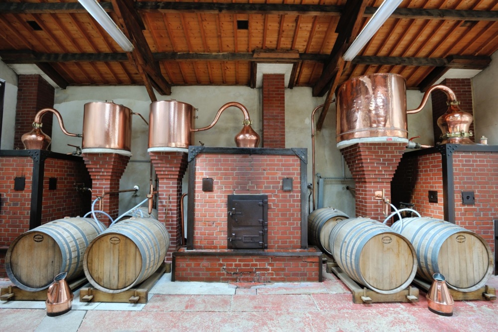 How is Calvados made : an artisanal know-how - Calvados France