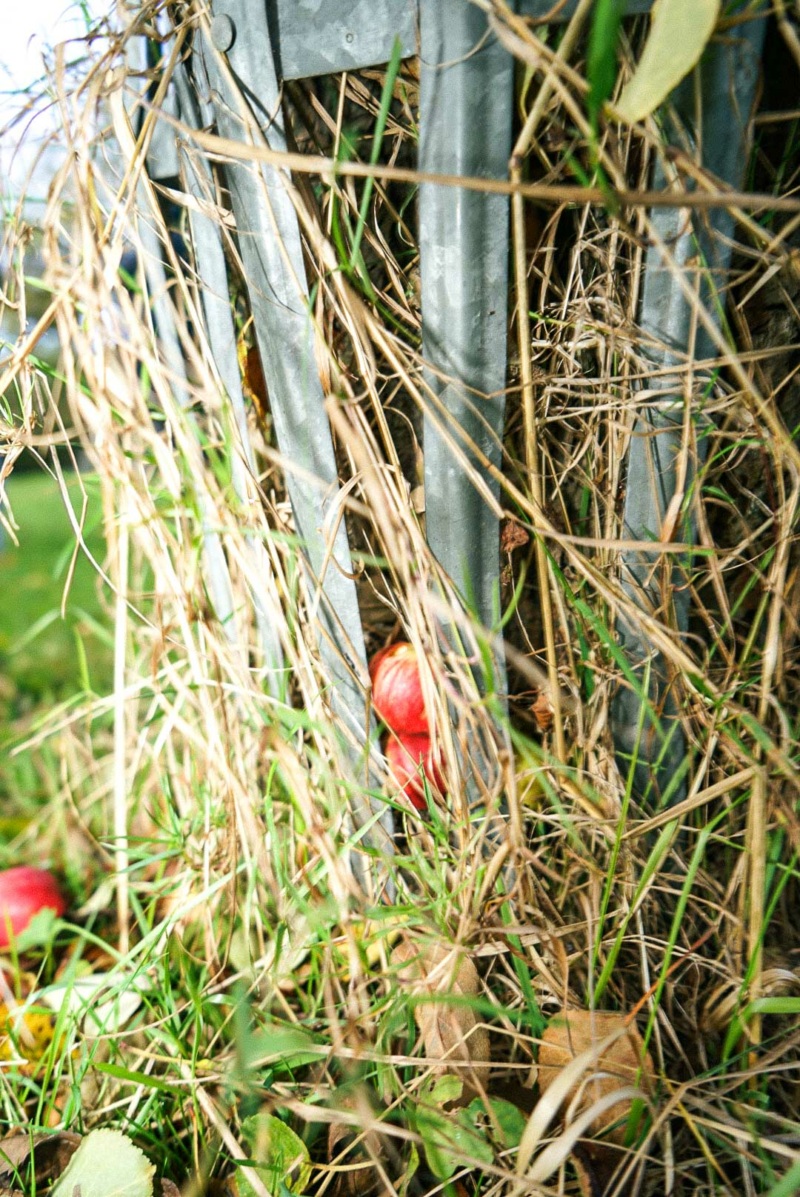 What is Calvados ? The history of the French Apple Brandy - Calvados France